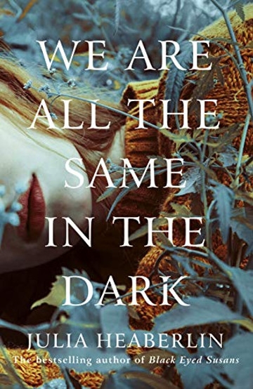 We Are All The Same In The Dark By Julia Heaberlin Book Review